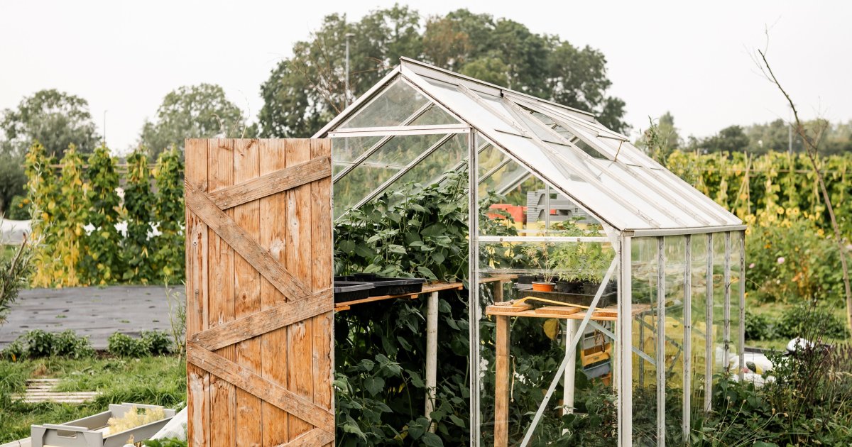 Zelfoogsttuin De Groentemeester | Velt